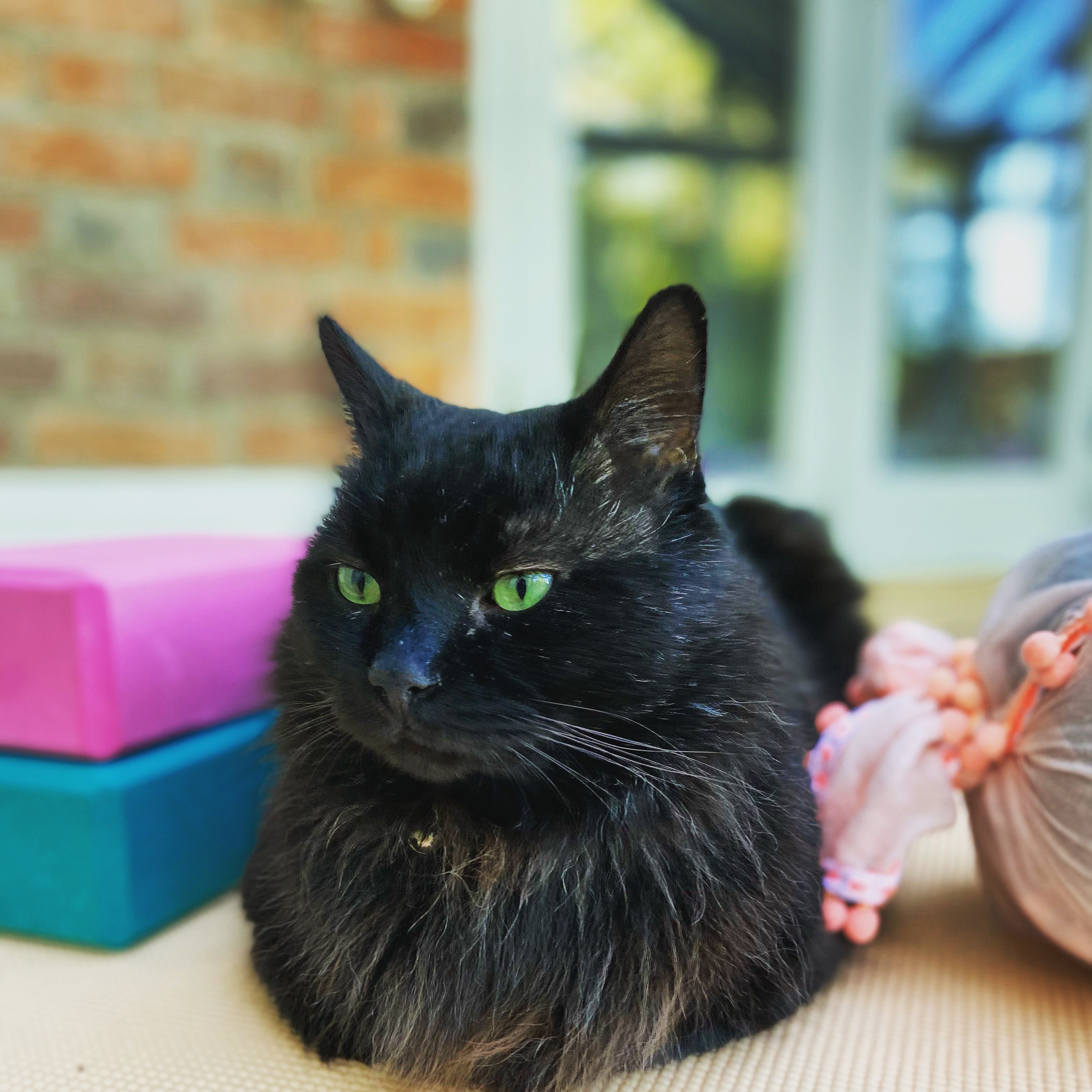 Lisa Wehbe Holistic Yoga & Wellbeing, Ickford, Buckinghamshire